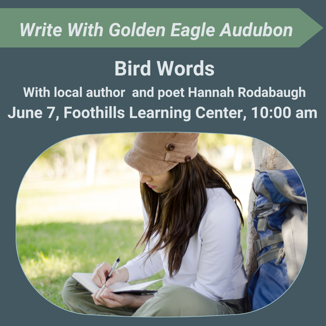 Workshop | Bird Words with Golden Eagle Audubon Society